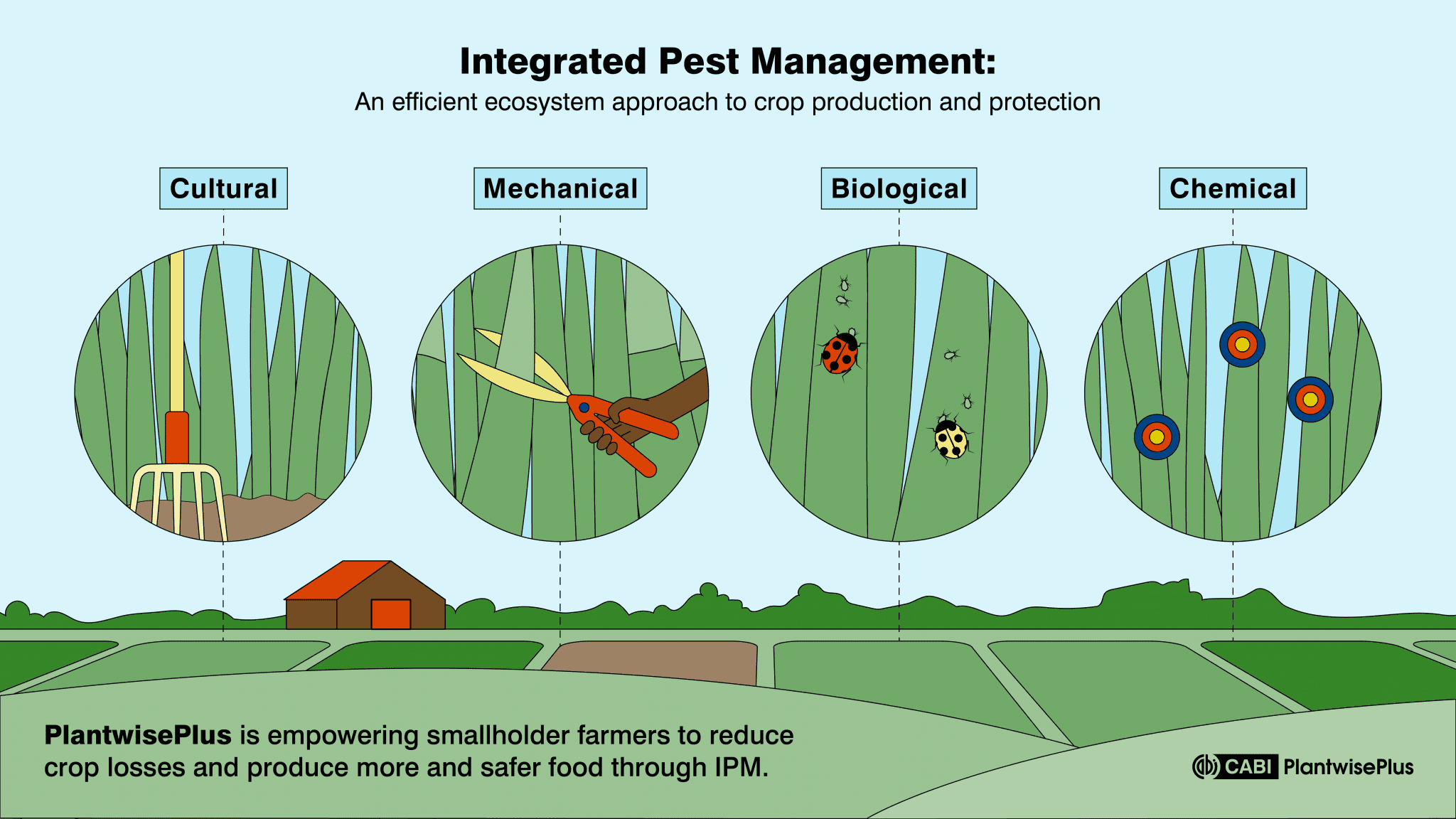 How IPM Works: A Sustainable Pest Control Method