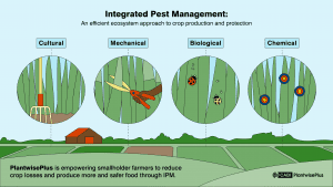 How IPM Works: A Sustainable Pest Control Method
