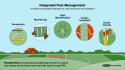 How IPM Works: A Sustainable Pest Control Method