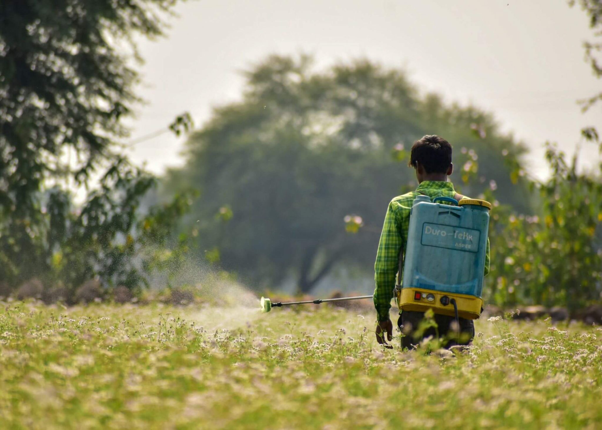How IPM Works: A Sustainable Pest Control Method