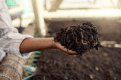 Soil health: Why it is important and how to protect it | CABI BPP