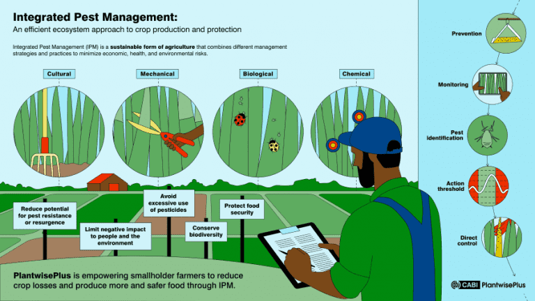 How IPM Works: A Sustainable Pest Control Method