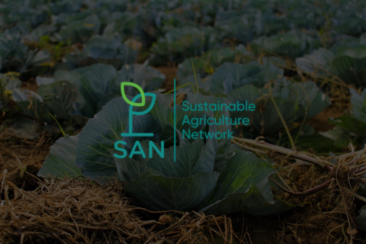 The Sustainable Agriculture Network join | CABI BPP