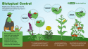 Types of biological control methods