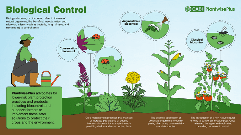 Types of biological control methods