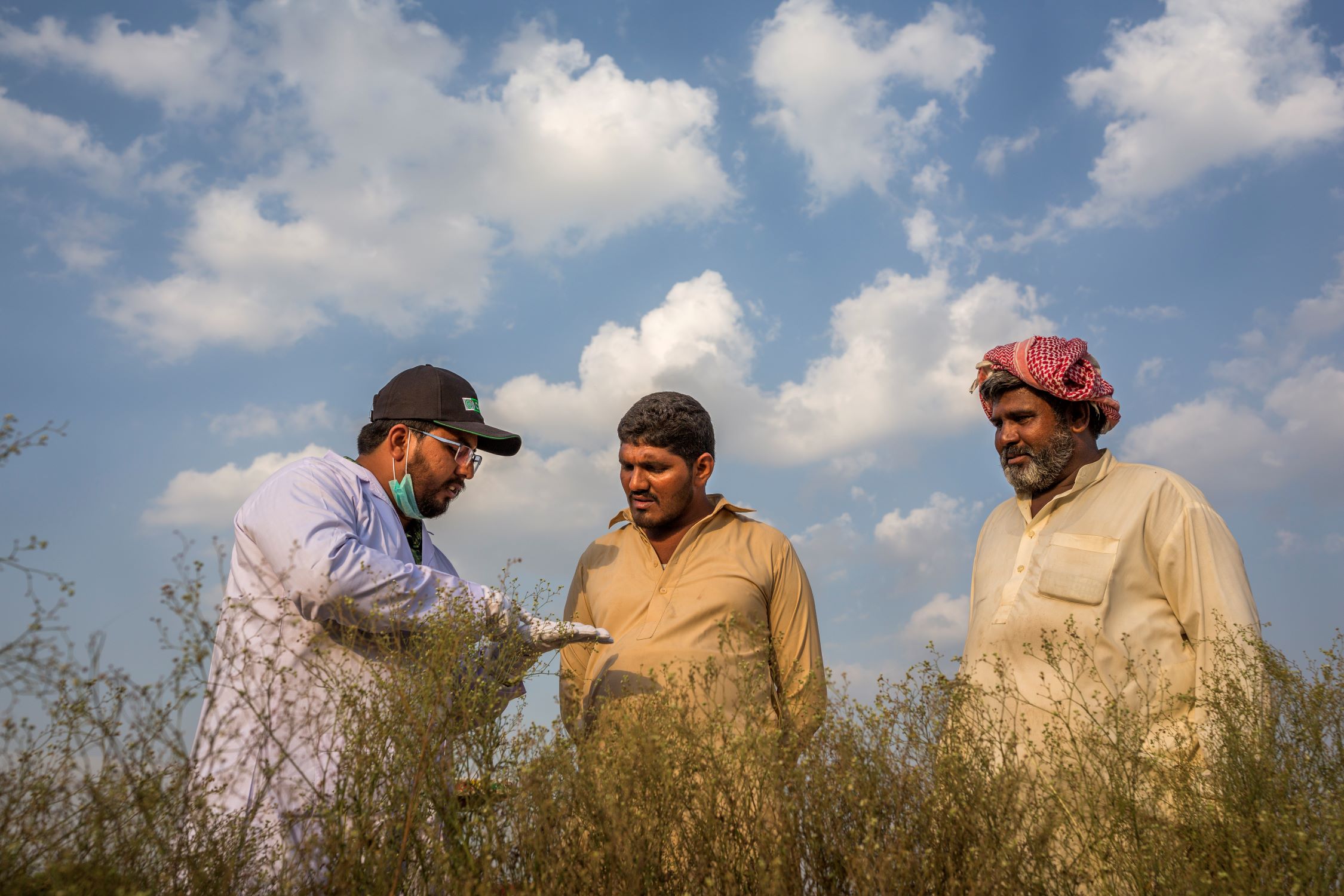Pakistan approves biopesticide registration guidelines for safer crop ...