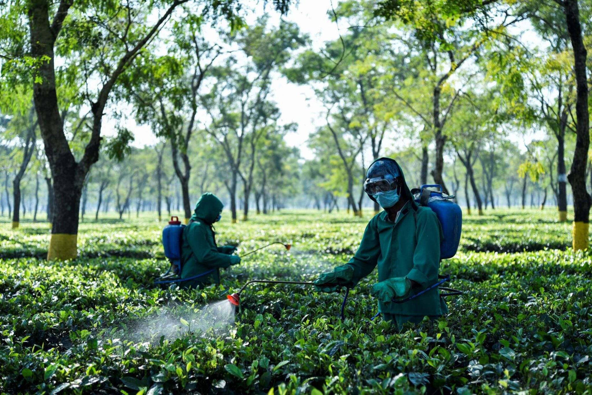 Strengthening bioprotection accessibility in India with PJ Margo and T ...