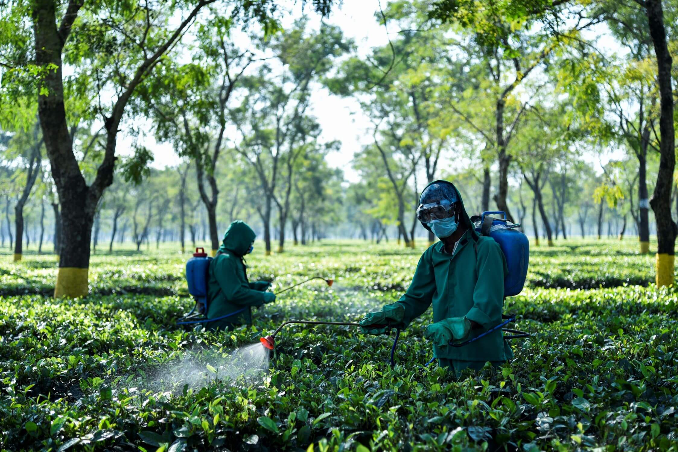 Strengthening bioprotection accessibility in India with PJ Margo and T ...