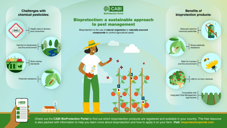 Biological pest control: Beginners guide