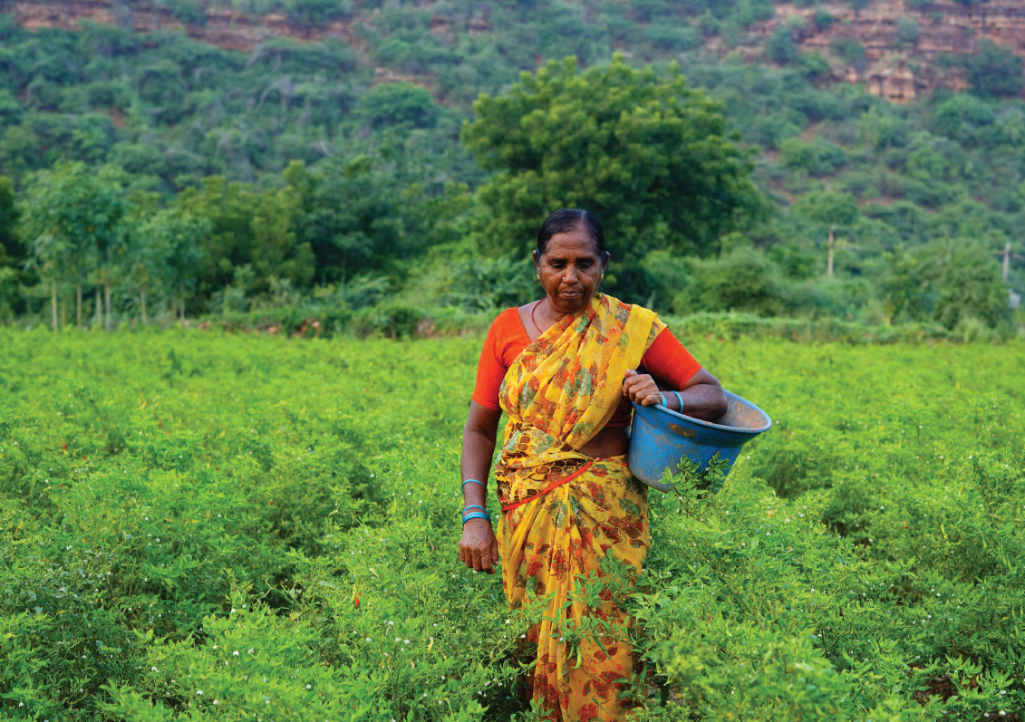 CABI BioProtection Portal and CSA empower Indian farmers to embrace ...